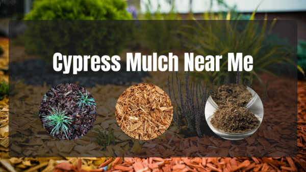 Cypress Mulch